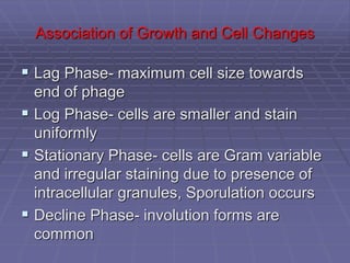 Growth curves | PPTX