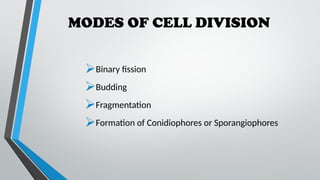 GROWTH CURVE, BACTERIAL GROWTH AND REPRODUCTION | PPTX