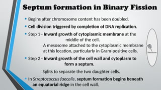 GROWTH CURVE, BACTERIAL GROWTH AND REPRODUCTION | PPTX