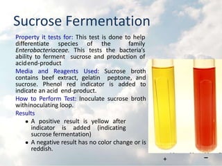 Growth dependent identification | PPTX