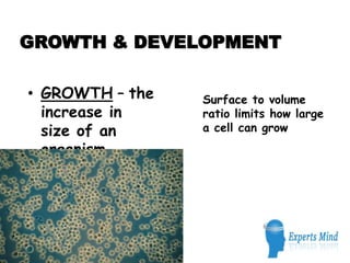 Growth & development | PPTX