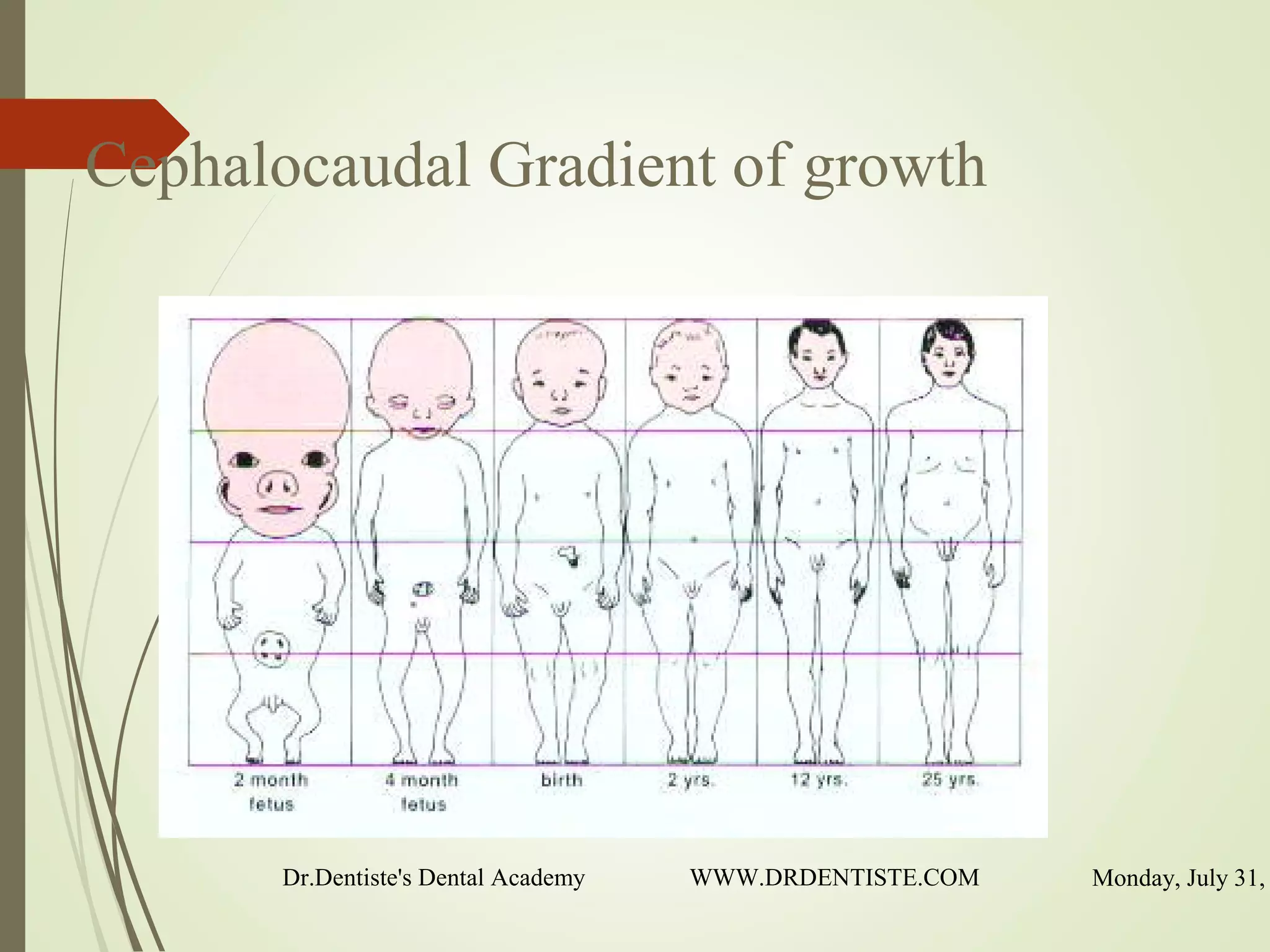 GROWTH AND DEVELOPMENT IN ORTHODONTICS | PPT
