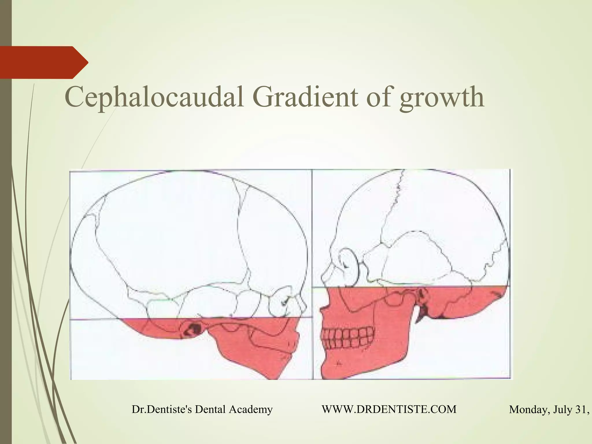 GROWTH AND DEVELOPMENT IN ORTHODONTICS | PPT