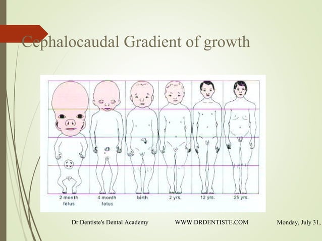 GROWTH AND DEVELOPMENT IN ORTHODONTICS | PPT | Dental Health | Diseases ...