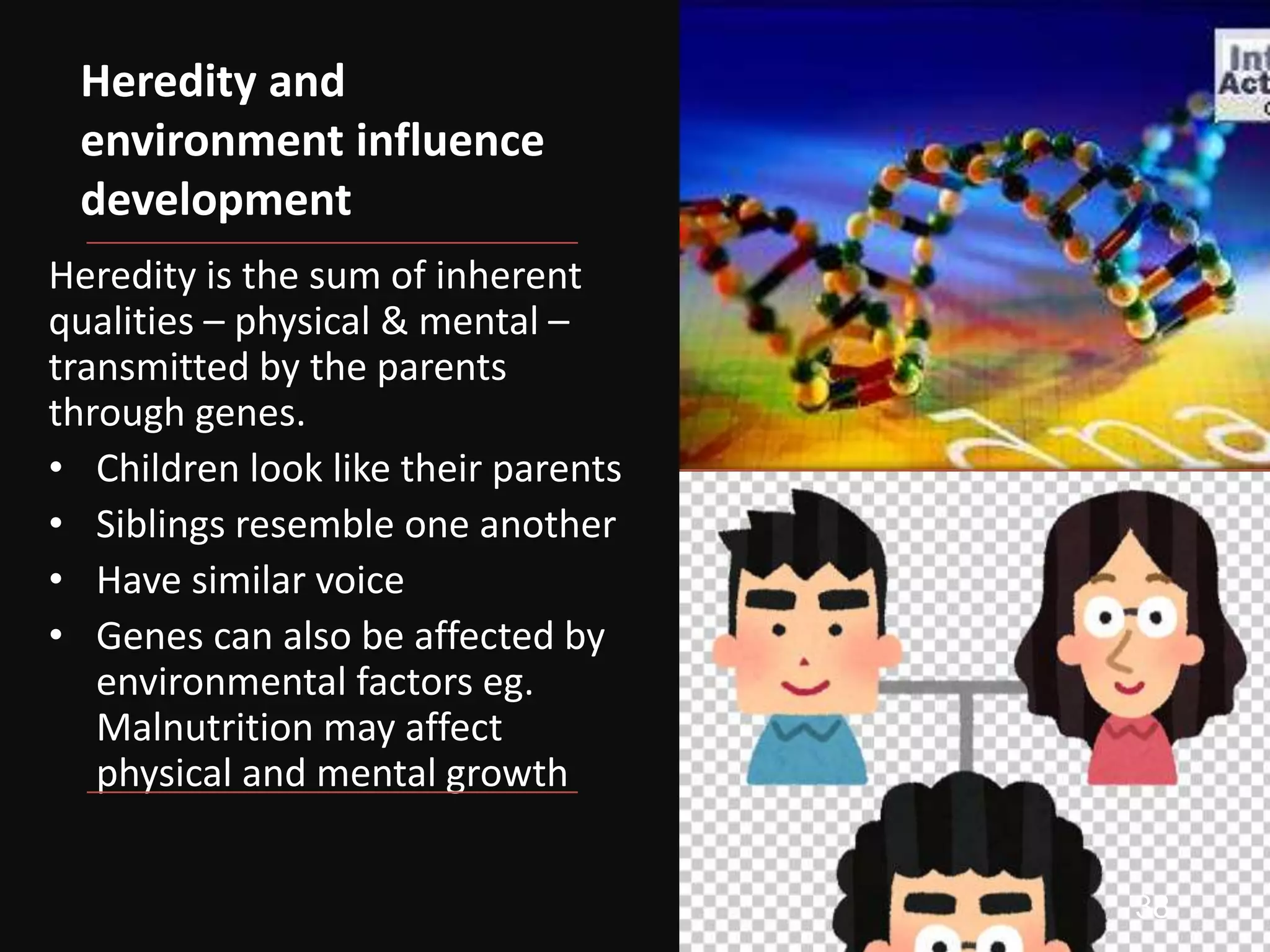 Growth & development - Physical Education - Grade 10 | PPTX