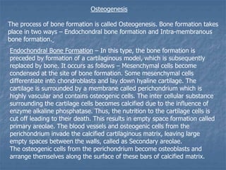 Growth & Development - General Principles & Concepts | PPT