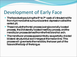 Growth Development Of Face And Oral Cavity | PPT