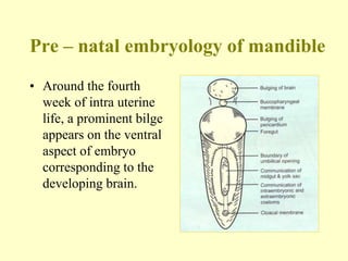 Growth & Development of Mandible | PPT