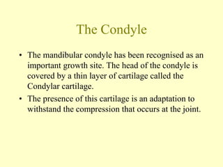 Growth & Development of Mandible | PPT