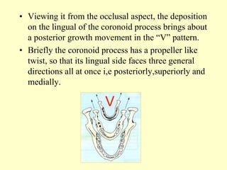 Growth & Development of Mandible | PPT