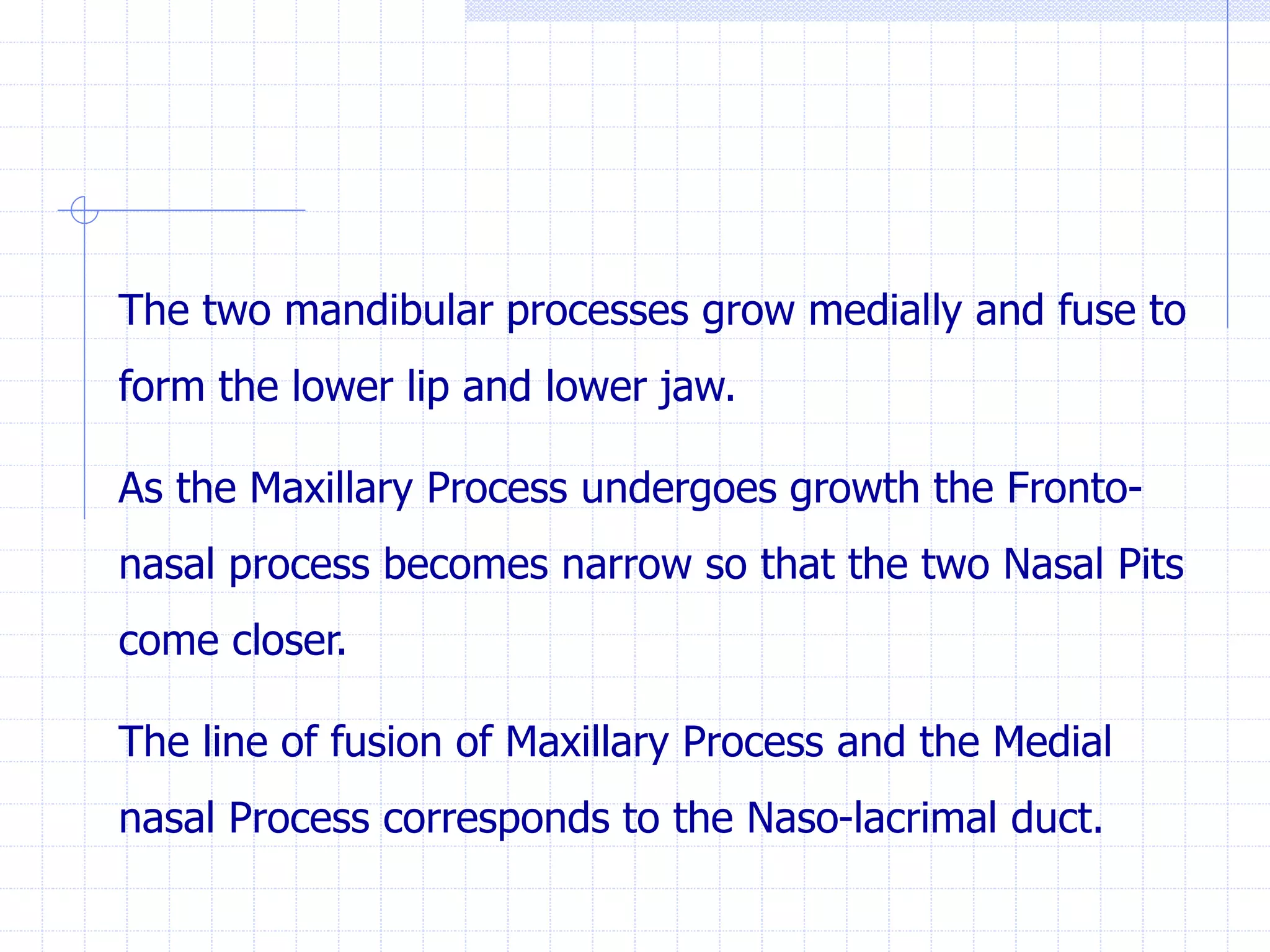 Growth & Development of Maxilla | PPT