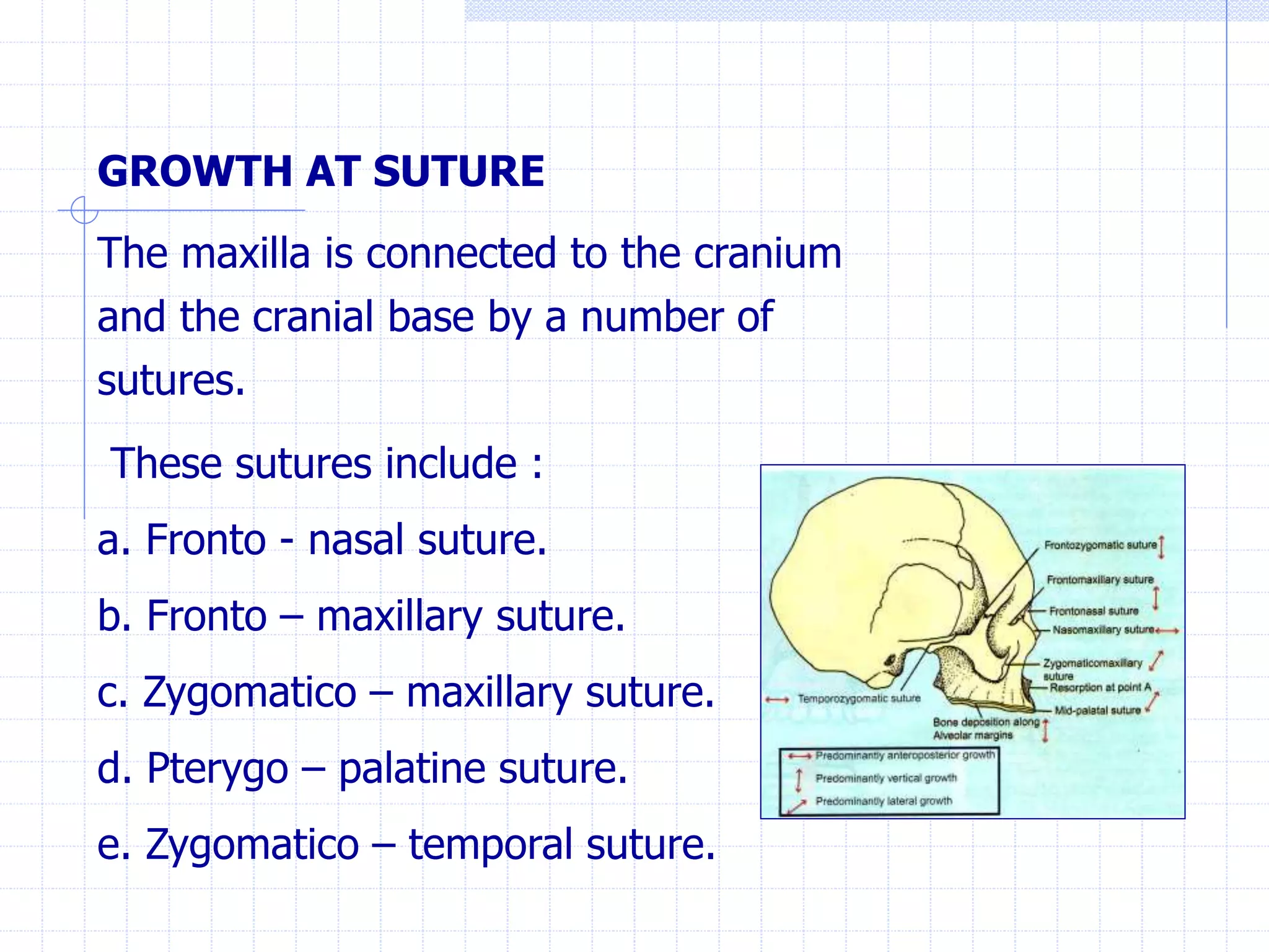 Growth & Development of Maxilla | PPT