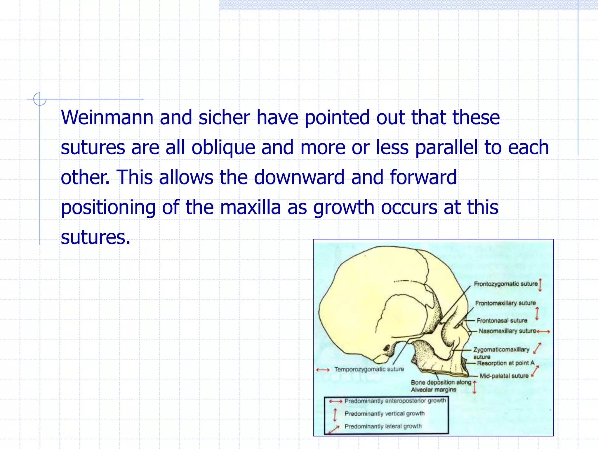 Growth & Development of Maxilla | PPT