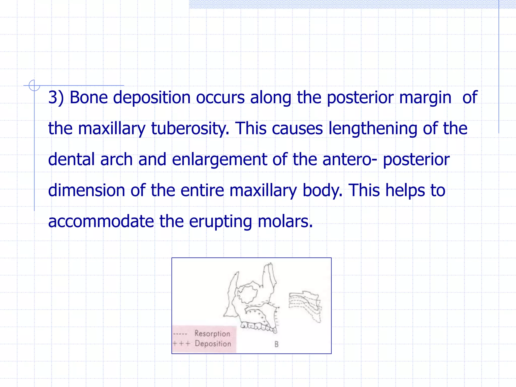 Growth & Development of Maxilla | PPT