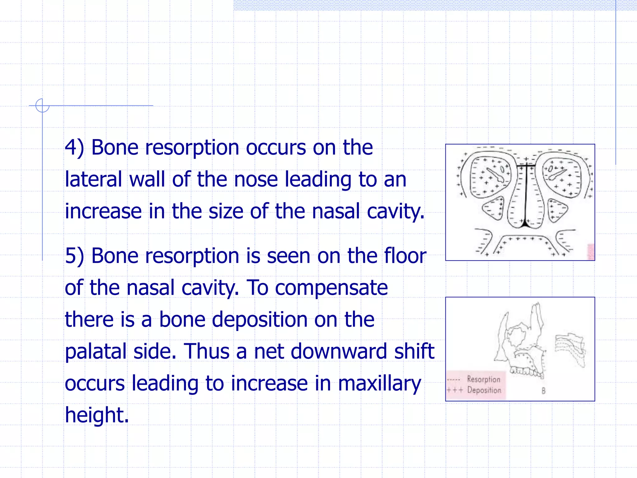 Growth & Development of Maxilla | PPT