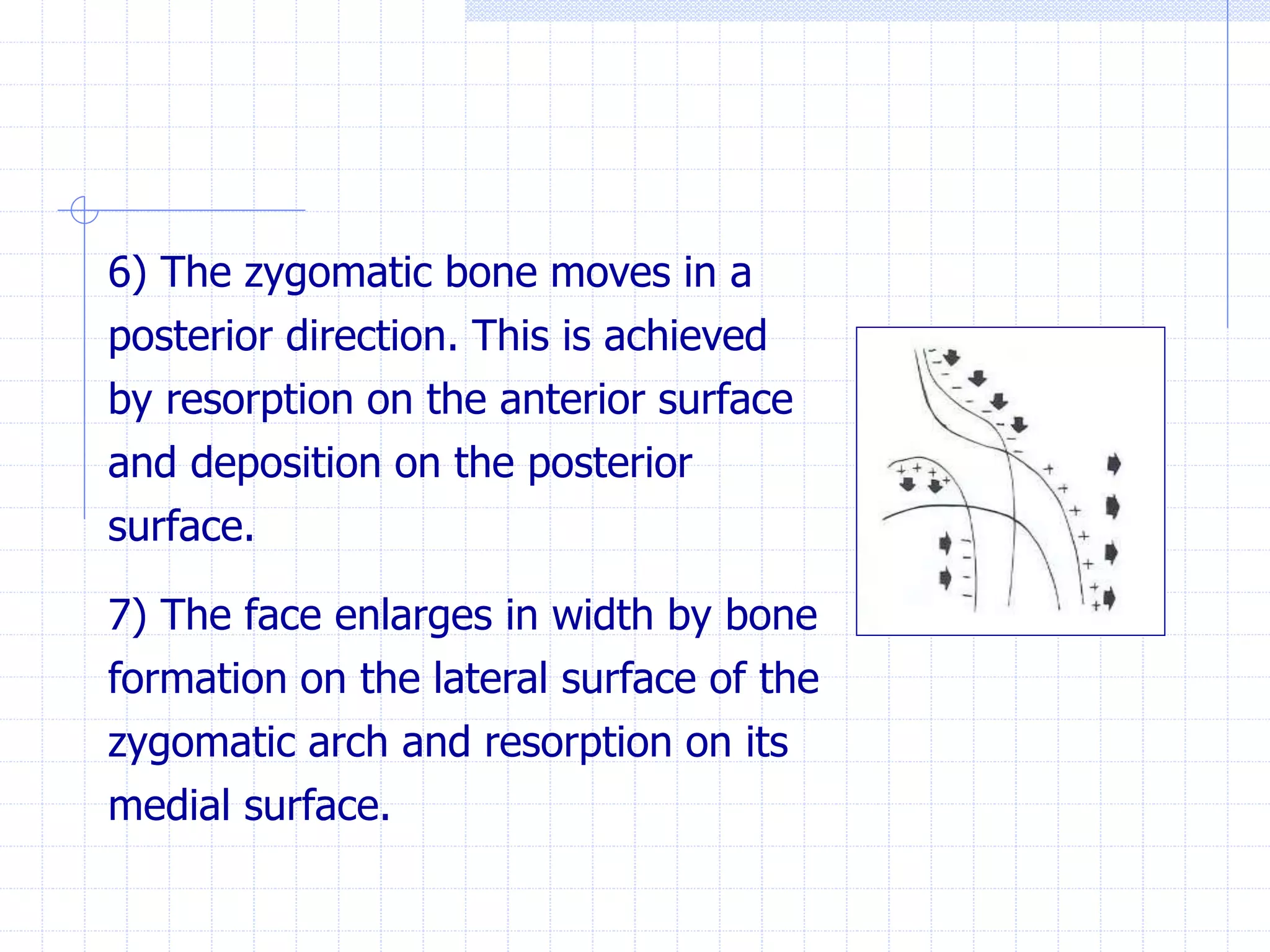 Growth & Development of Maxilla | PPT
