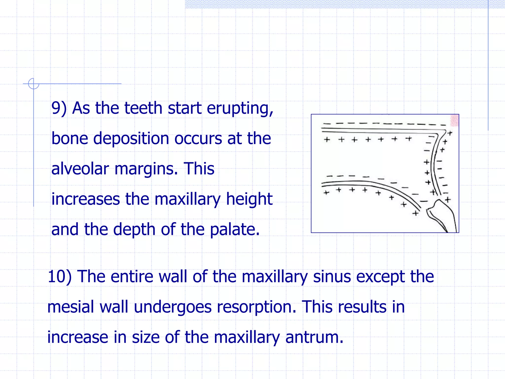 Growth & Development of Maxilla | PPT