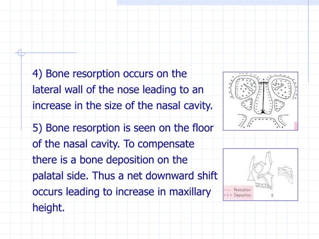 Growth & Development of Maxilla | PPT