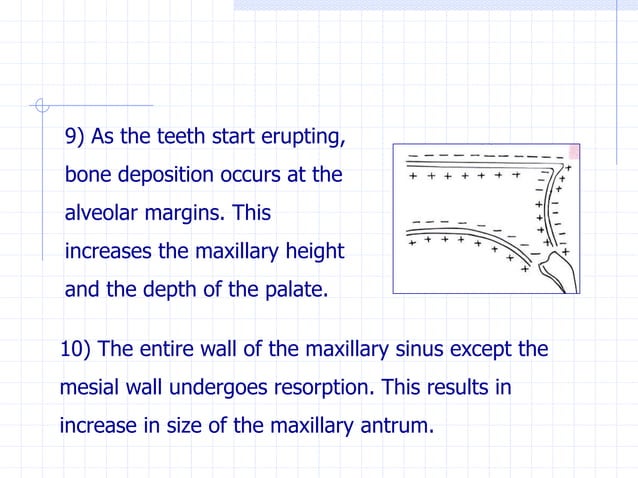 Growth & Development of Maxilla | PPT