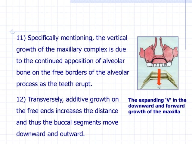 Growth & Development of Maxilla | PPT