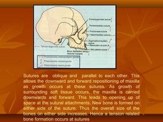 Growth & development of maxilla and mandible | PPT