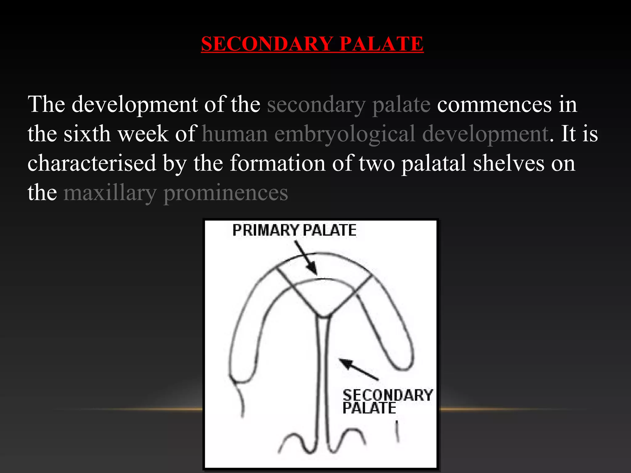 Growth & development of maxilla & mandible.ppt [autosaved] | PPT