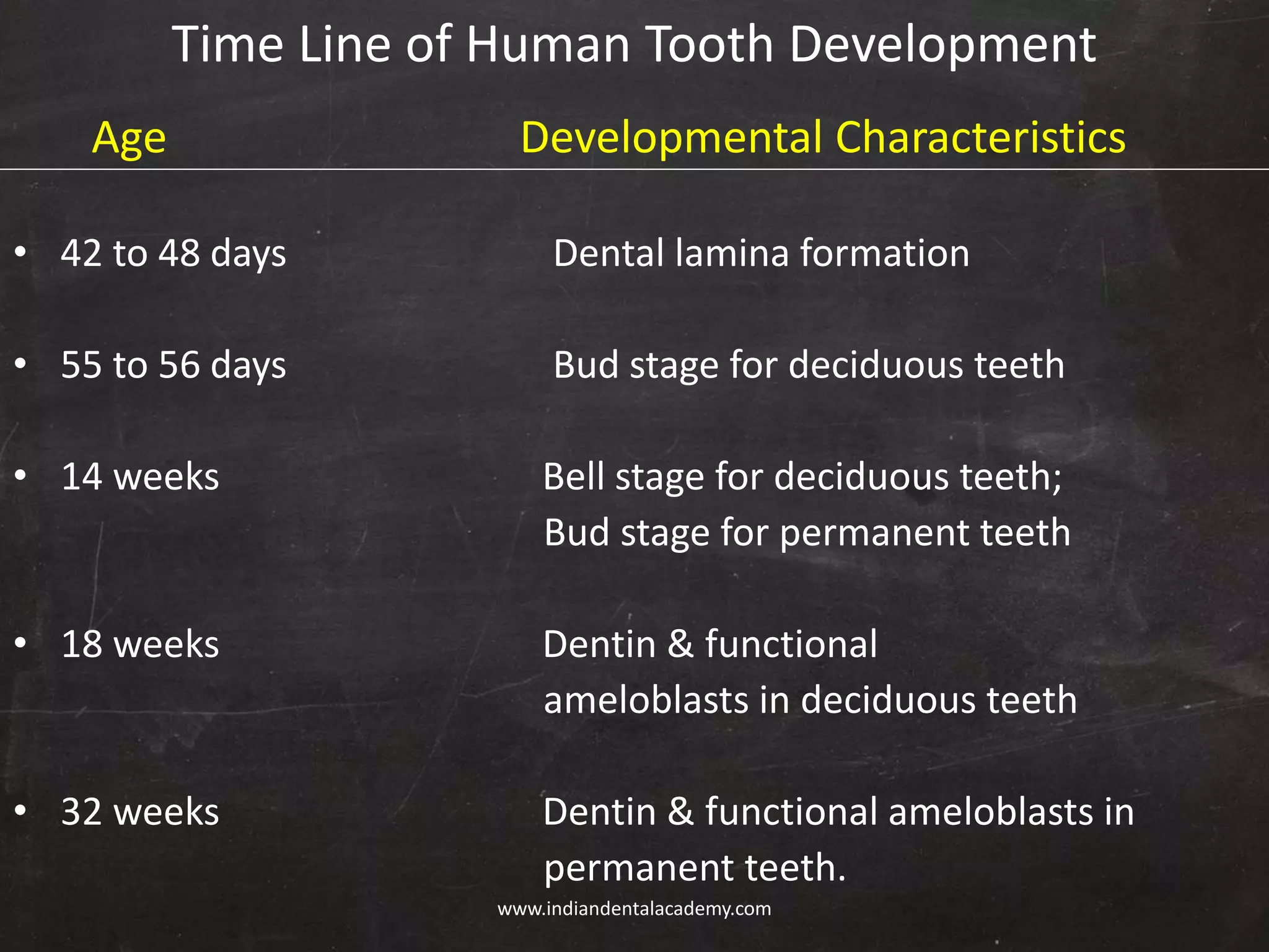 Growth&development of tooth / orthodontics courses | PPTX