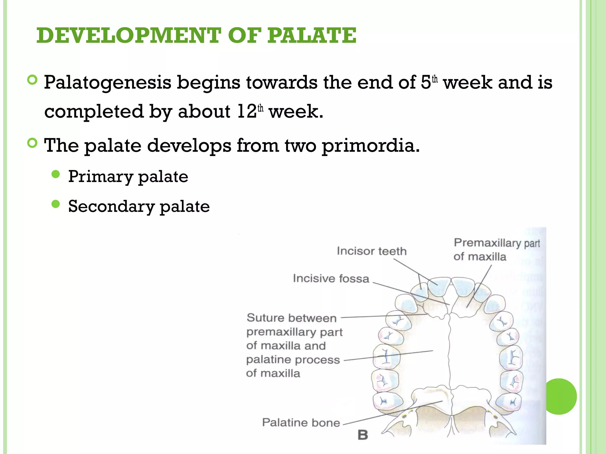 Growth & development of maxilla and mandible | PPT
