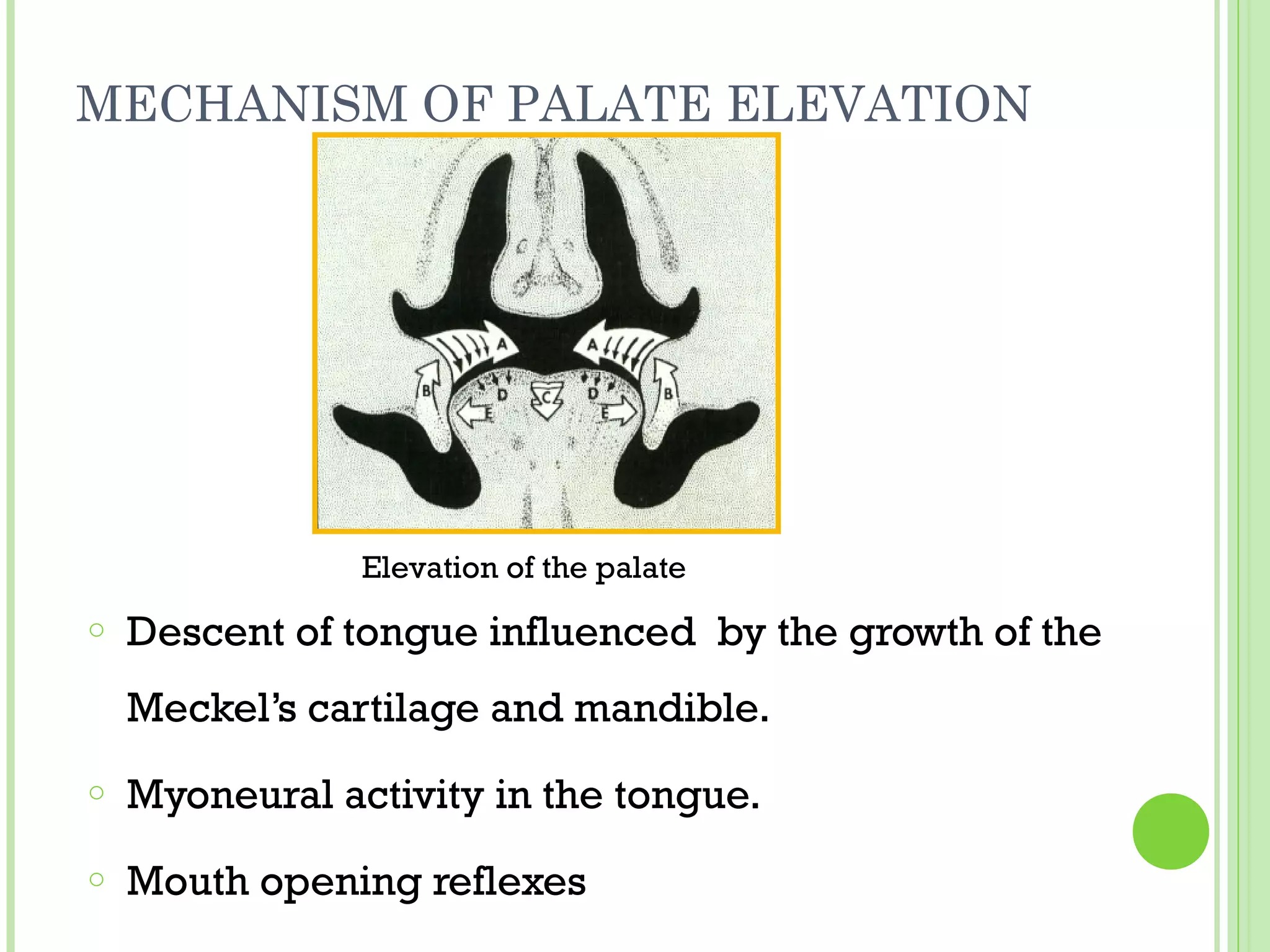 Growth & development of maxilla and mandible | PPT
