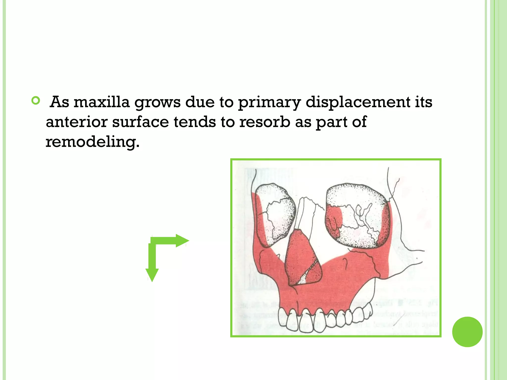 Growth & development of maxilla and mandible | PPT