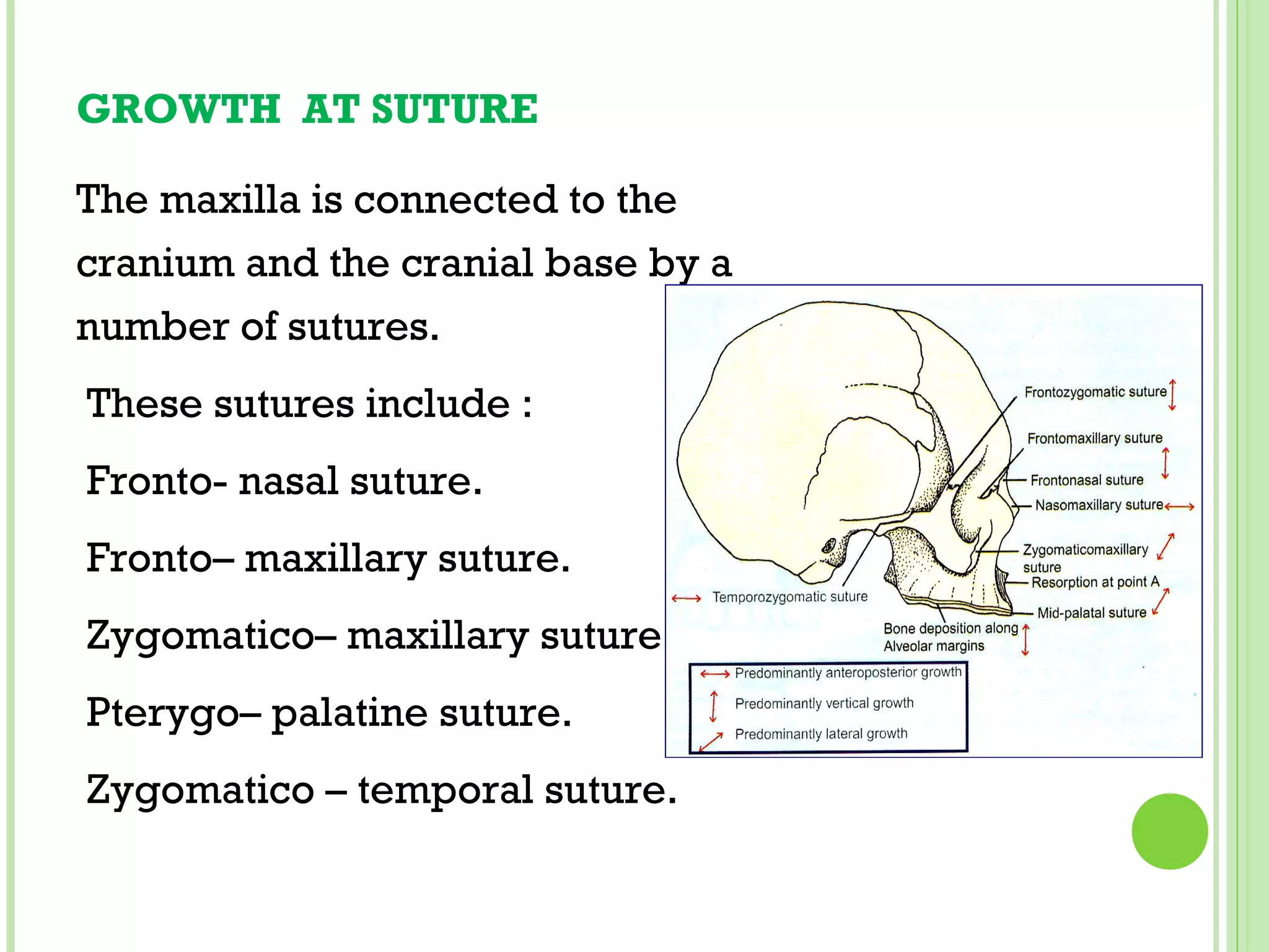 Growth & development of maxilla and mandible | PPT
