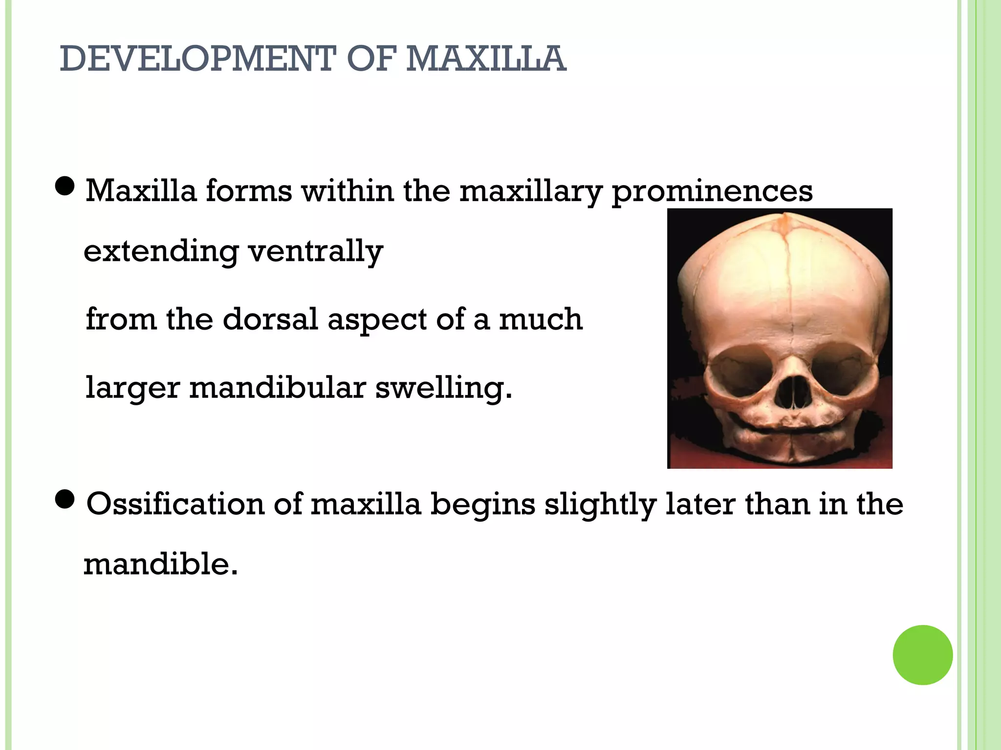 Growth & development of maxilla and mandible | PPT