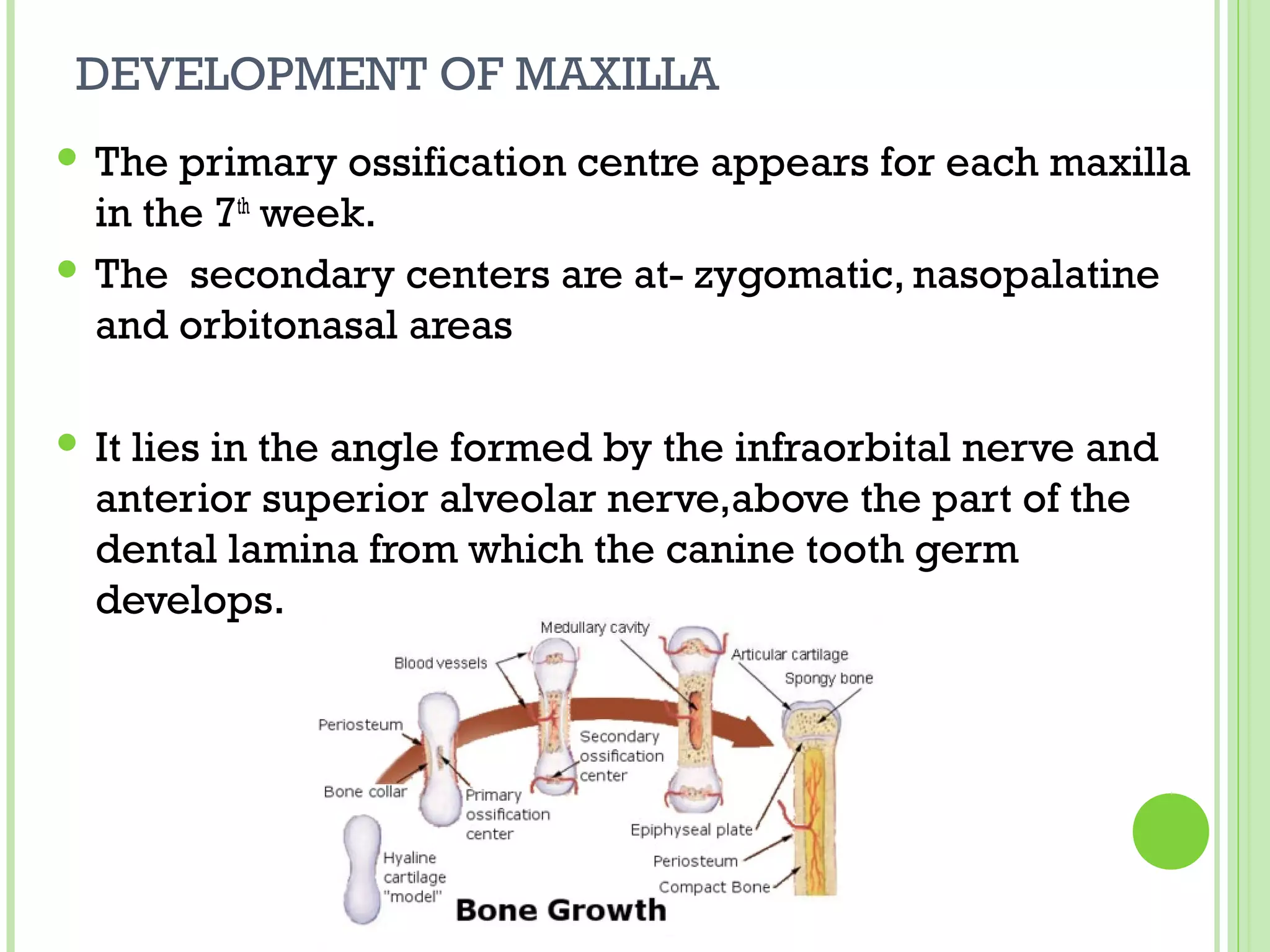 Growth & development of maxilla and mandible | PPT