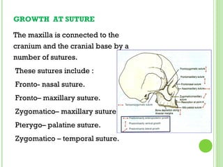 Growth & development of maxilla and mandible | PPT