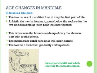 Growth & development of maxilla and mandible | PPT