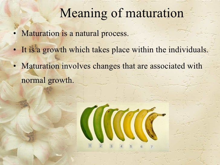 Maturation