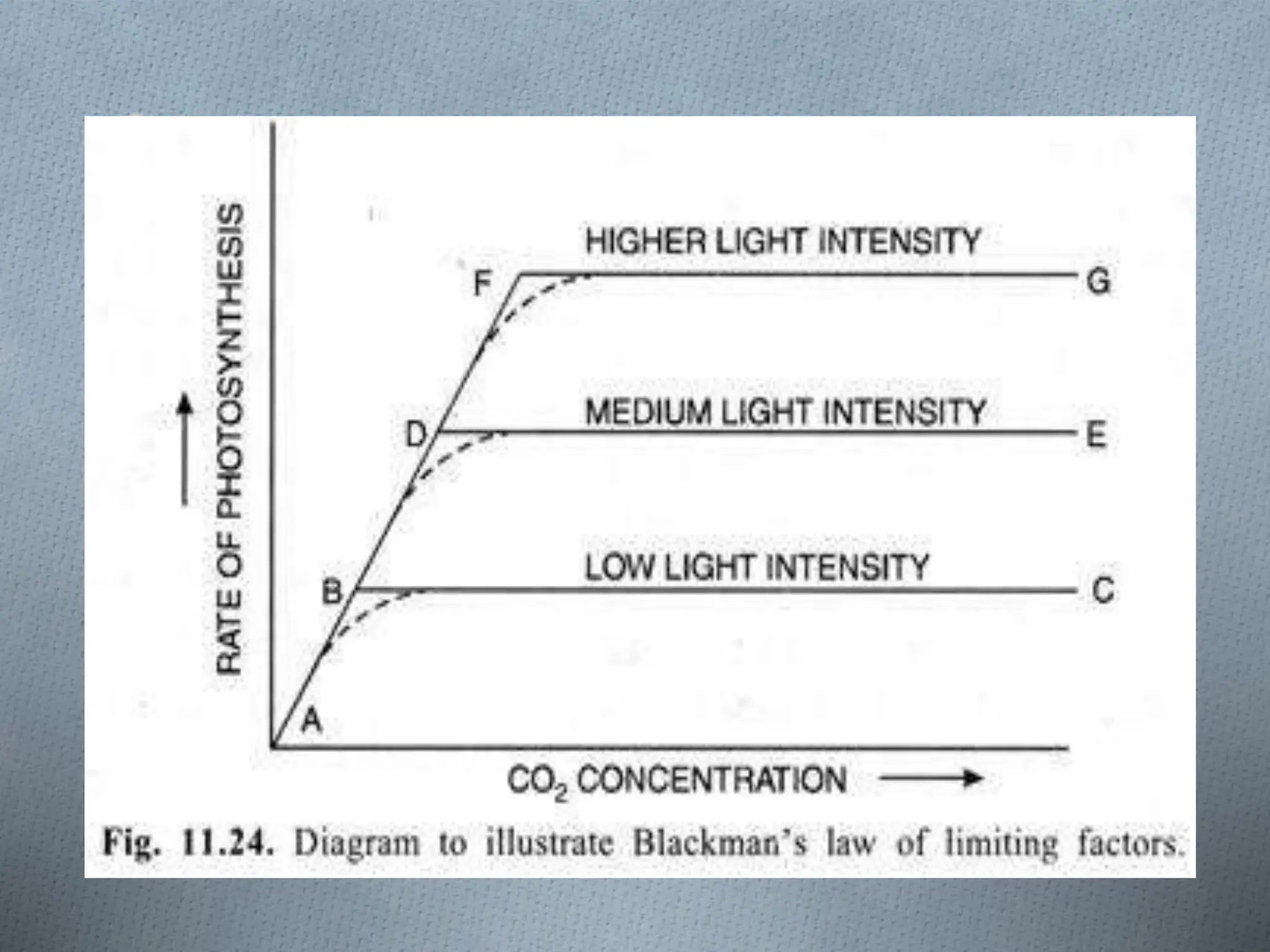 Growth Expressions & Laws of Plant Growth.pptx