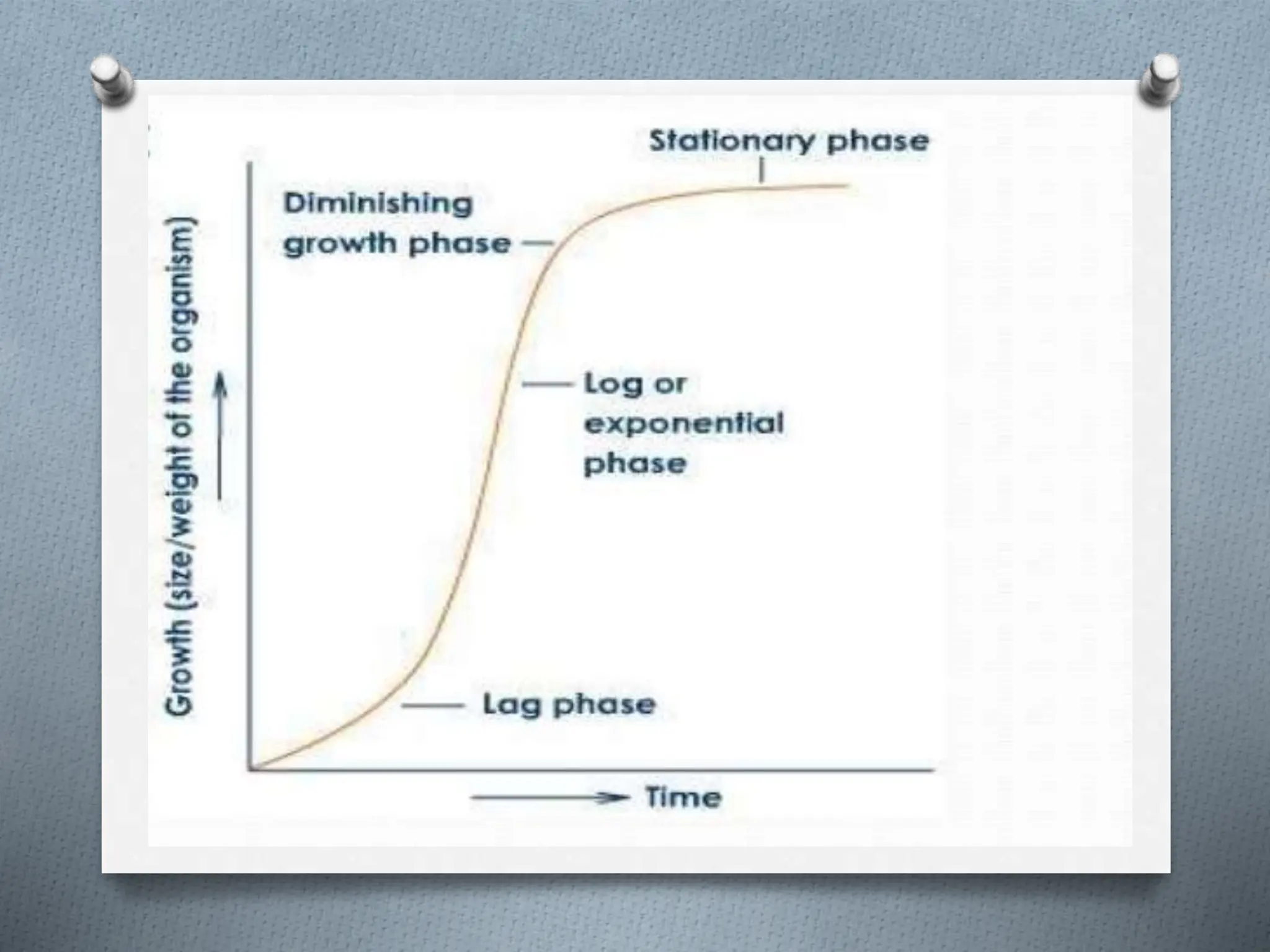 Growth Expressions & Laws of Plant Growth.pptx