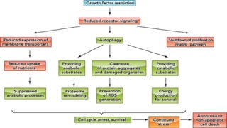 Growth Factors | PPT