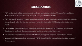 Growth factors | PDF