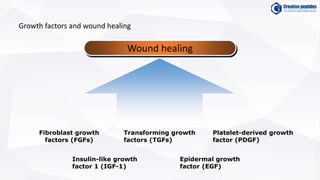Growth factors creative peptides | PPTX