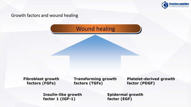 Growth factors creative peptides | PPT