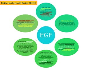 Growth factors and their receptors | PPTX