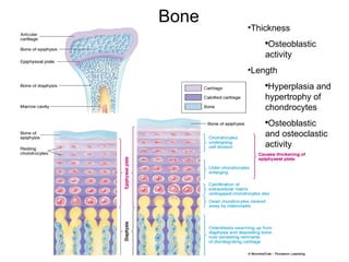 Growth hormone | PPT