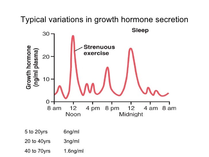 Growth Hormone Growth Hormone