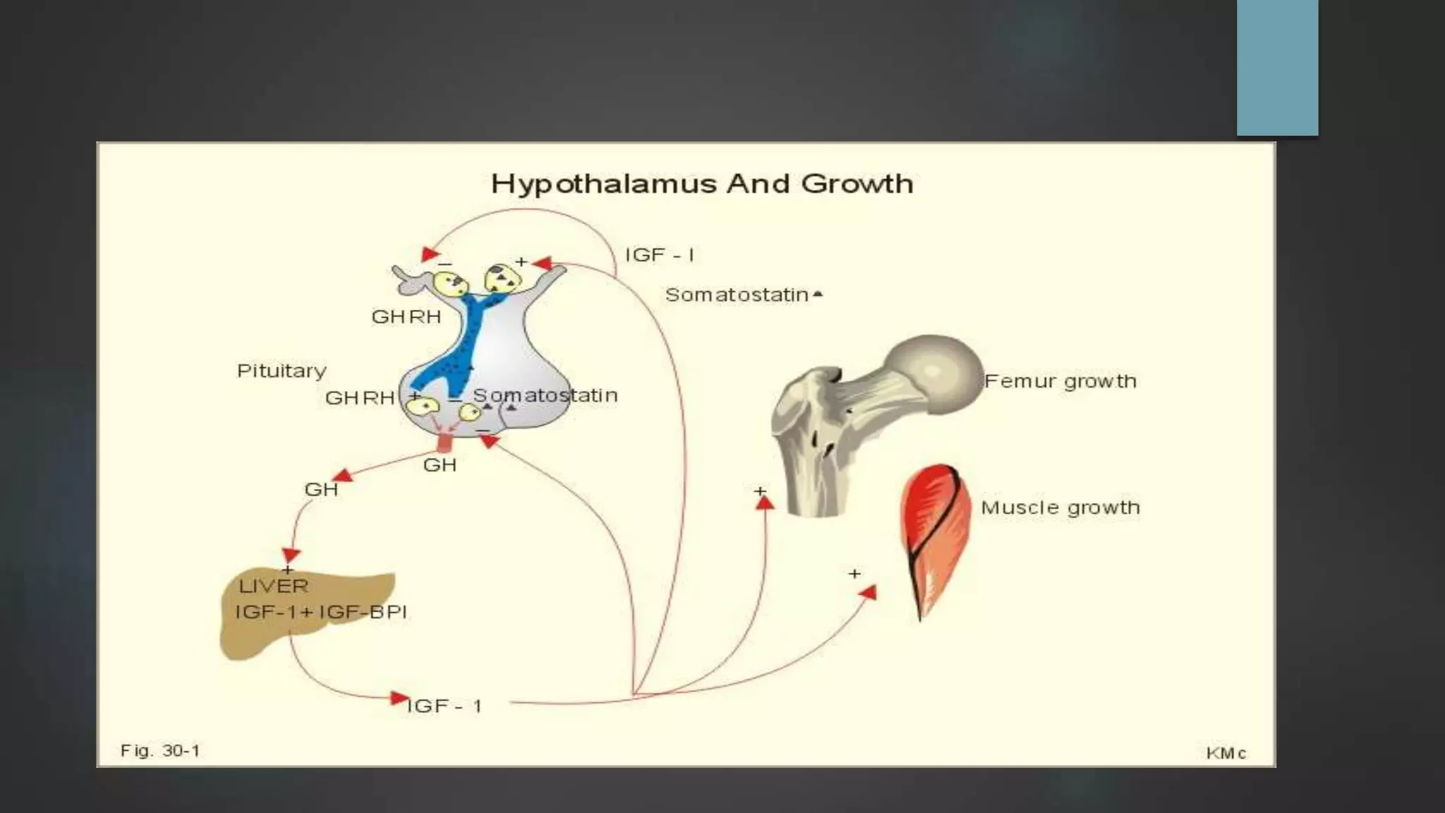 Growth hormone | PPTX