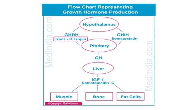 Growth hormone uses and abuses | PPT