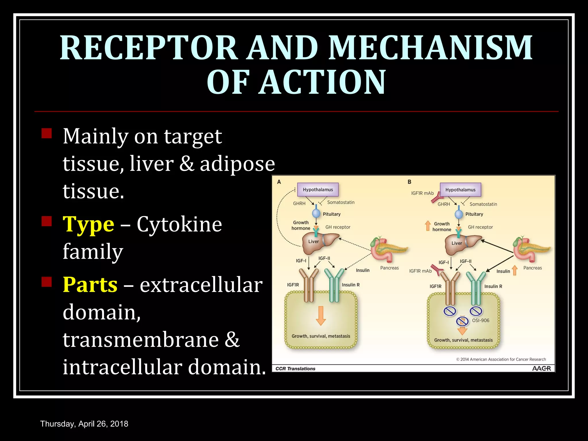 GROWTH HORMONES | PPT