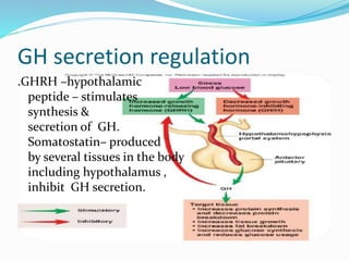 Growth hormone | PPT
