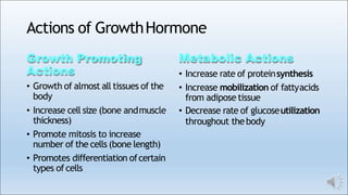 Growth Hormone.pptx